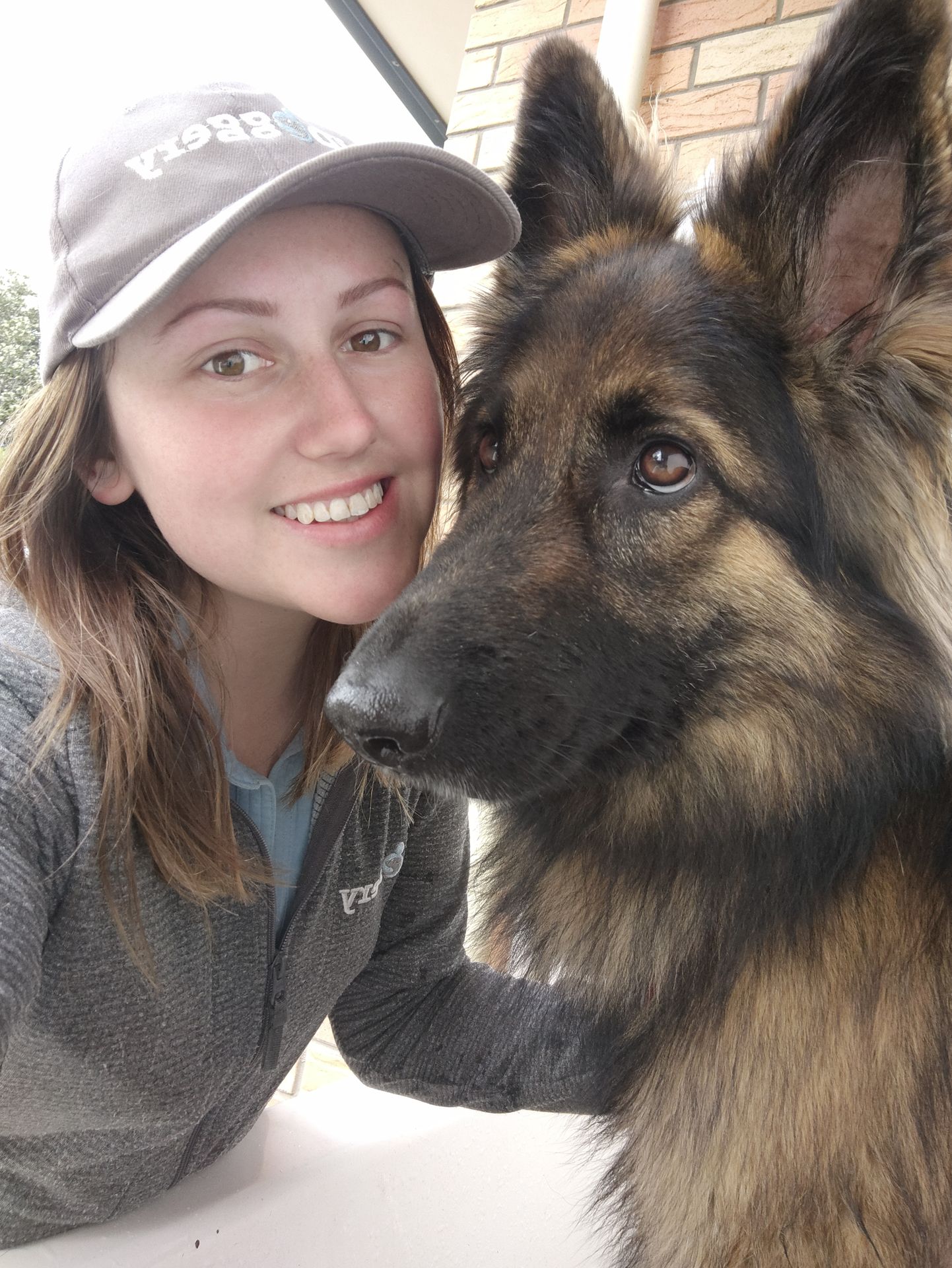 About Us | The Doggery, Auckland