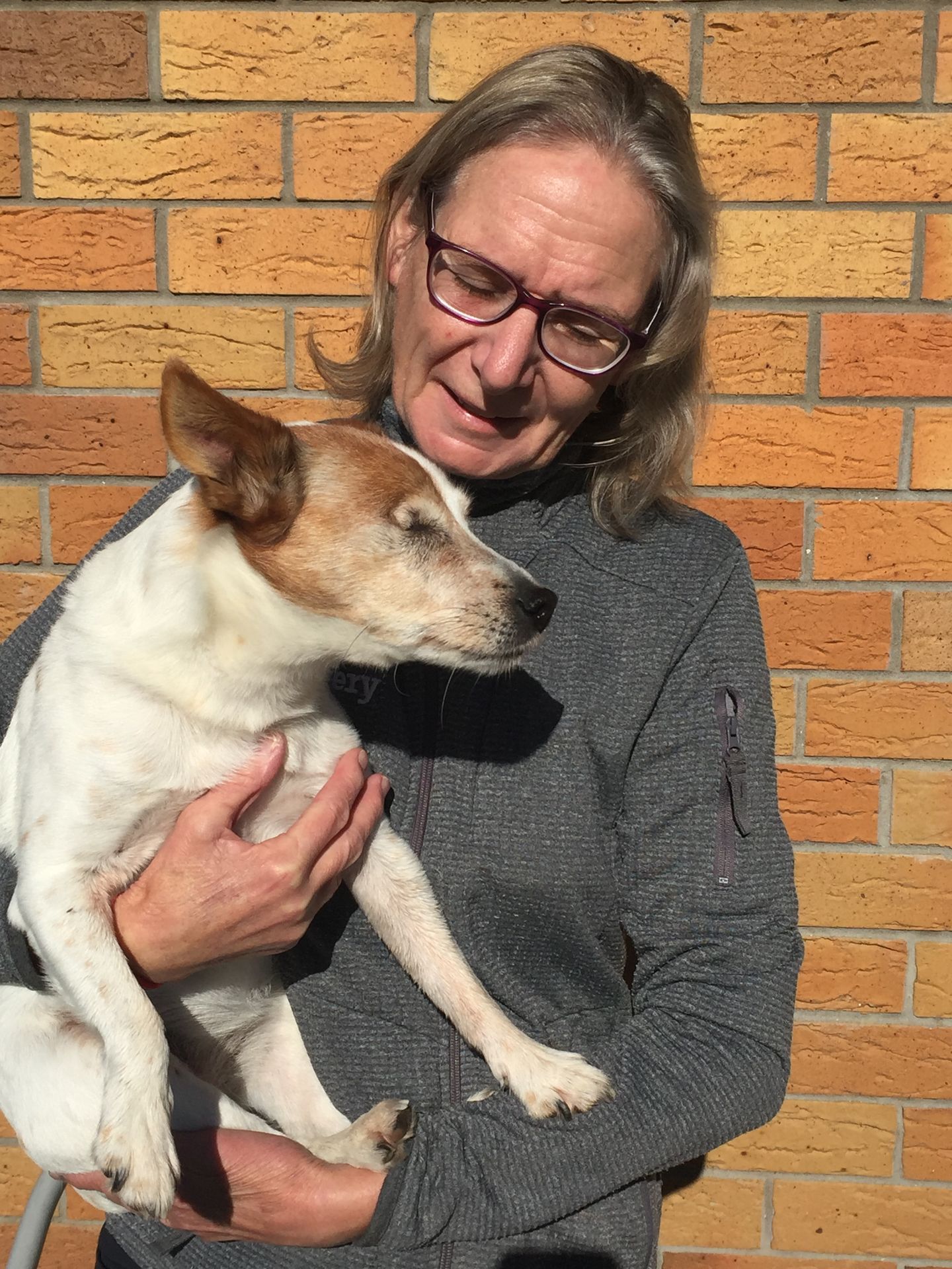 About Us | The Doggery, Auckland